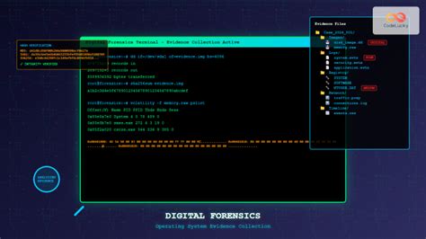 Macos File System Complete Guide To Hfs And Apfs Implementation Codelucky
