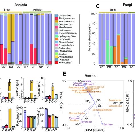 Characterization Of The Native KT Microbiome A Image Of A Typical Download Scientific