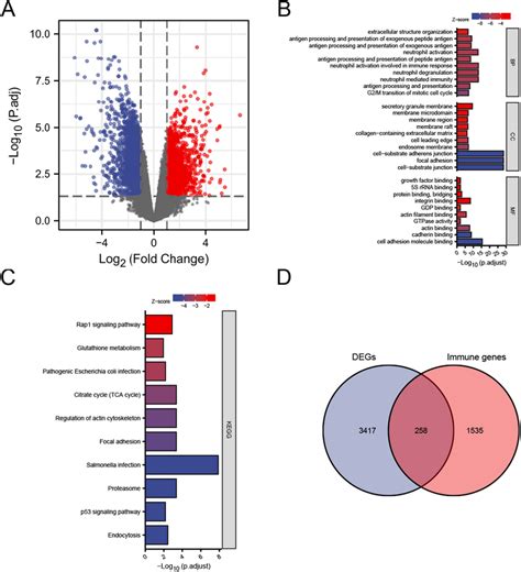 Differentially Expressed Immune Genes In Osteosarcoma A Volcanic Map Download Scientific