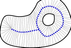 Left An Example Of Medial Axis Medial Axis Nodes And Their Routes To Download Scientific