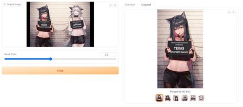 The Fully Automation Of The Three Stage Cropping Process For Character Datasets Civitai