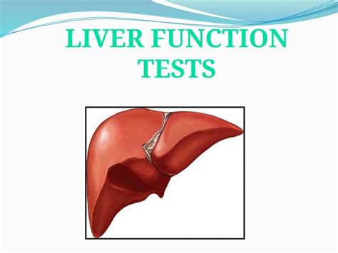 Liver Function Tests Presentation Part1 Pptx