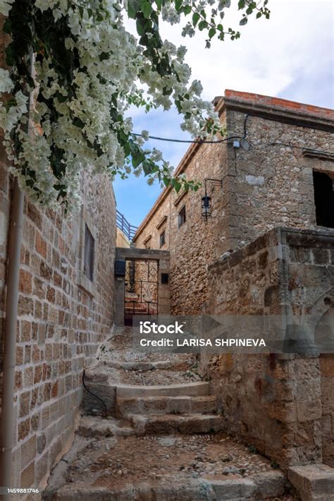 그리스 로도스 구시가지의 거리 전망 화려한 집과 향기로운 꽃이있는 포장 도로와 포장 도로 세로 사진 0명에 대한 스톡 사진 및 기타 이미지 Istock