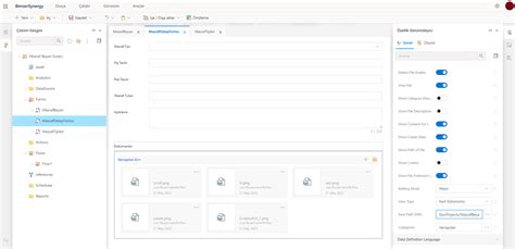 Masraf Detay Formu Tasarımı Bimser