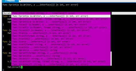 Vim安装go插件vim Go和gocode，支持代码高亮、代码提示和语法检查等功能 Csdn博客