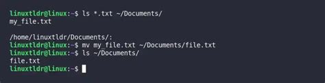 Beginners Guide For Mv Command In Linux