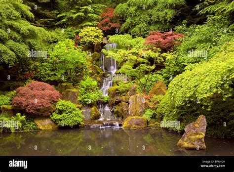 Heavenly Falls In Summer In The Portland Japanese Garden Oregon Stock