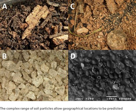 Forensic Helford Geoscience