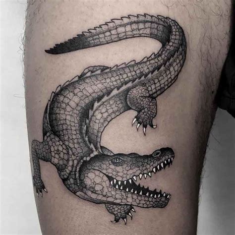 Polynesian Alligator Tattoos