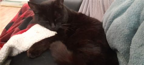 Sleepy Album On Imgur