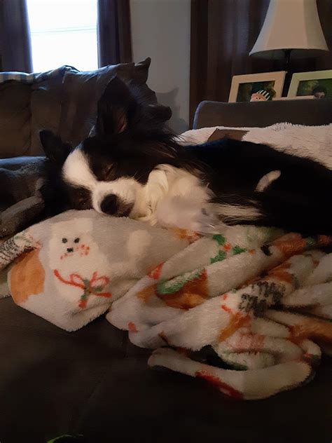 Sleeping Beauty Scrolller