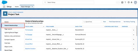 add custom project task fields as columns in project interface