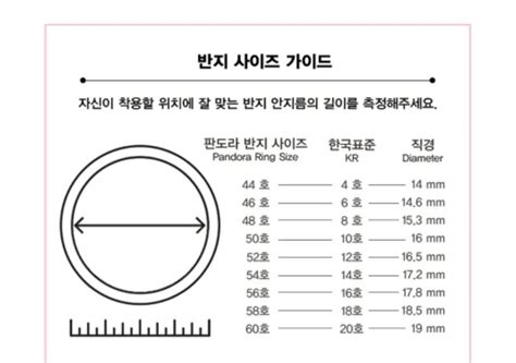 반지 호수 지식in