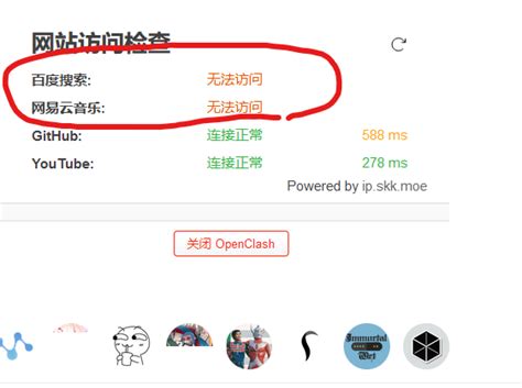 Bug 网络访问检查那里，上面两行国内网络显示“无法访问”，但其实国内网络是正常的，，， · Issue 3286