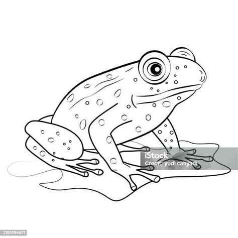 귀여운 개구리 낙서 색칠 공부 페이지 흰색 배경에 어린이 또는 성인을위한 0명에 대한 스톡 벡터 아트 및 기타 이미지 0명 개구리 교사 교육 관련 직업 Istock