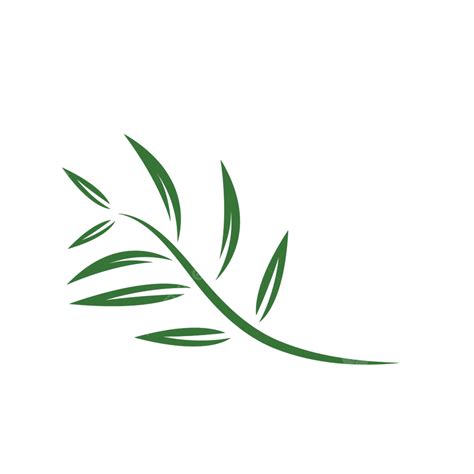 Eucalyptus Leaf Vector Element Design Template Web Leaf Isolated