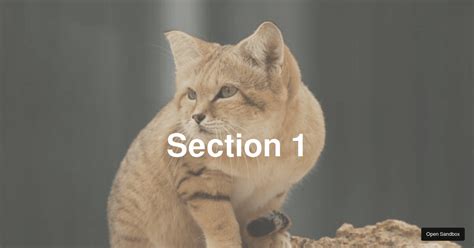 Background Attachment Codesandbox