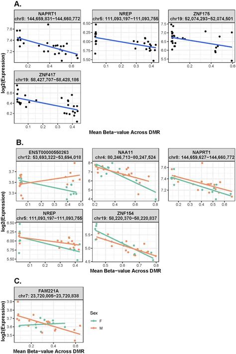 Boxplots Of Association Between Gene Level Expression And DNA Download Scientific Diagram