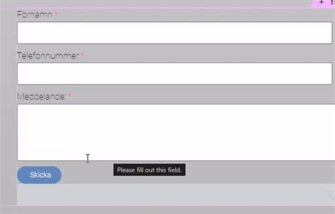 Elementor Submit Form Active Button Border Relementor