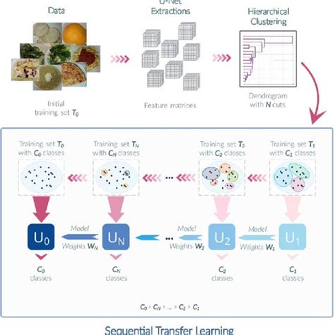 Proposed Method Pipeline Of Proposed Network Training Download Scientific Diagram