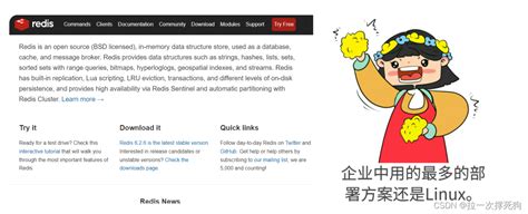 分布式文件存储与数据缓存 Redis高可用分布式实践（上）文件存储高可用 Csdn博客