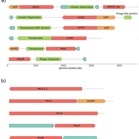 Comparing Metagenomic Libraries Prepared By Assembly Or Blunt Ligation