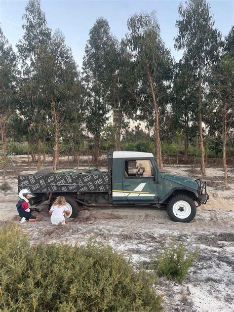 Umm Alter 2 Campina Tocha • Olxpt