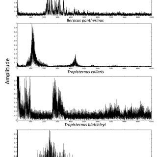 Each Graph Is A Frequency Plot Of A One Half Second Exemplar Sound Download Scientific Diagram