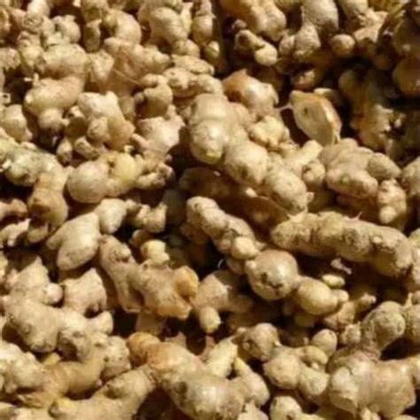 Jual Jahe Emprit 250gram Shopee Indonesia