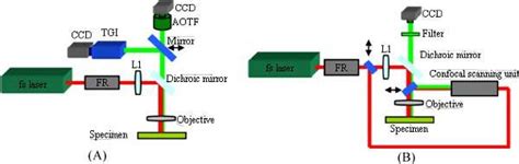 Schematics Of The Experimental Set Up For Wide Field Two Photon Download Scientific Diagram
