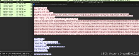 应急响应靶机练习 linux2 背景前情提要 看监控的时候发现webshell告警 领导让你上机检查 你可以救救安 csdn博客