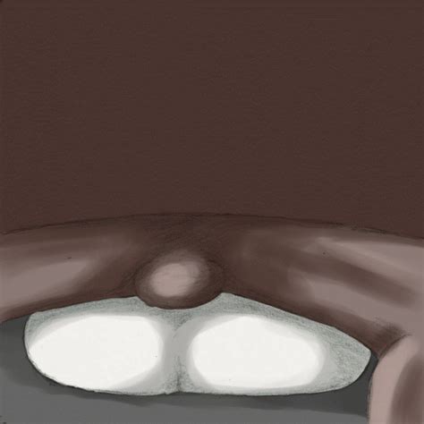 Rule 34 Animated Female From Front Position Mating Press Missionary Trzaraki Vylfgor 9426826