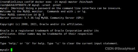 Docker下进行mysql主从复制一个linux本地mysql如何和一个docker Mysql主从复制 Csdn博客
