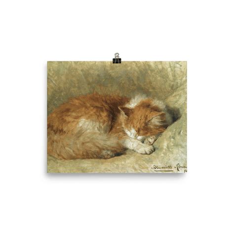 A Sleeping Cat Art Print Lone Fox