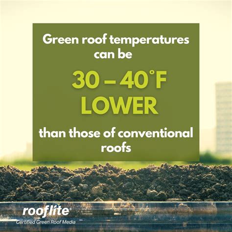 Green Roofs Have A Lower Temperature Than Conventional Roof Skyland