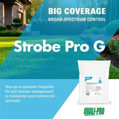 Quali Pro Built For Lcos Who Need Flexible Effective Facebook