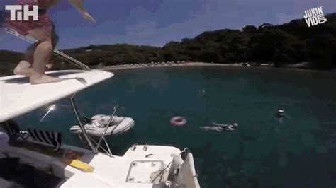 Dive Jump  Dive Jump Leap Discover And Share S