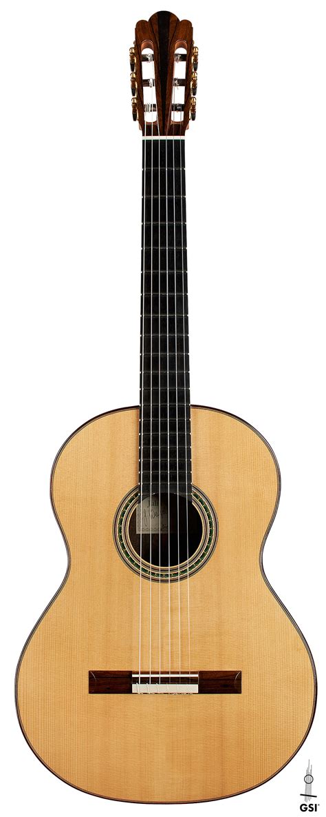 2024 Julia Wenzel Sp Zr Guitar Gsi