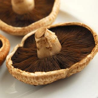 Opiniones de Portobello
