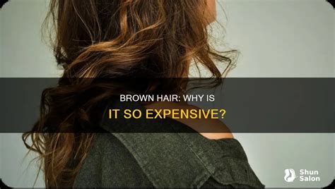 Brown Hair Why Is It So Expensive Shunsalon