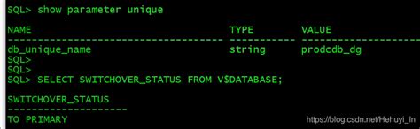 Oracle 一主两从 主从切换（switchover）步骤记录oracle Adg 一个主两个从上做主备切换 Csdn博客