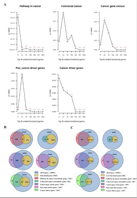 Functional Network Analysis Of Coad A Left Panel A Functional