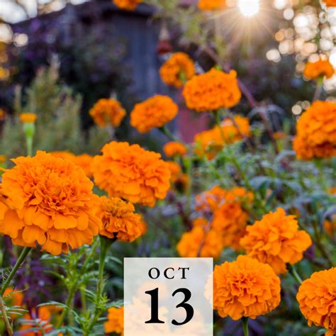 October 13 2023 P Allen Smith