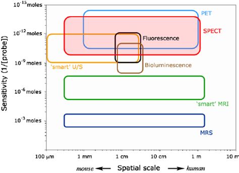 The Molecular Imaging Matrix Indicating The Position Of Spect Relative