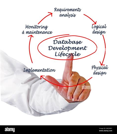Database Development Lifecycle Stock Photo Alamy