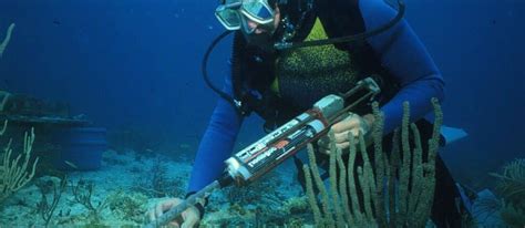 Marine Biologist Equipment National Museum Of Marine Biology And