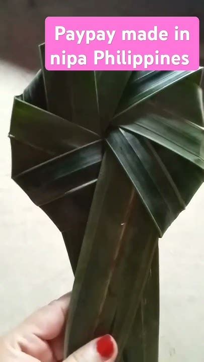 Dahon Sa Nipa Nature Philippines Shortsshorts Leafplants Youtube