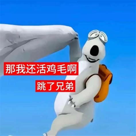 《那我还活鸡毛啊 跳了兄弟》——绝望小熊的“跳楼”表情包 表情包丨你暗恋我表情包图片动图 求表情网 斗图从此不求人