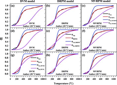 Experimental Fractional Conversion Curves Of Amber And Those Calculated