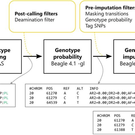Schematic Representation Of The Imputation Pipeline The Input And Download Scientific Diagram